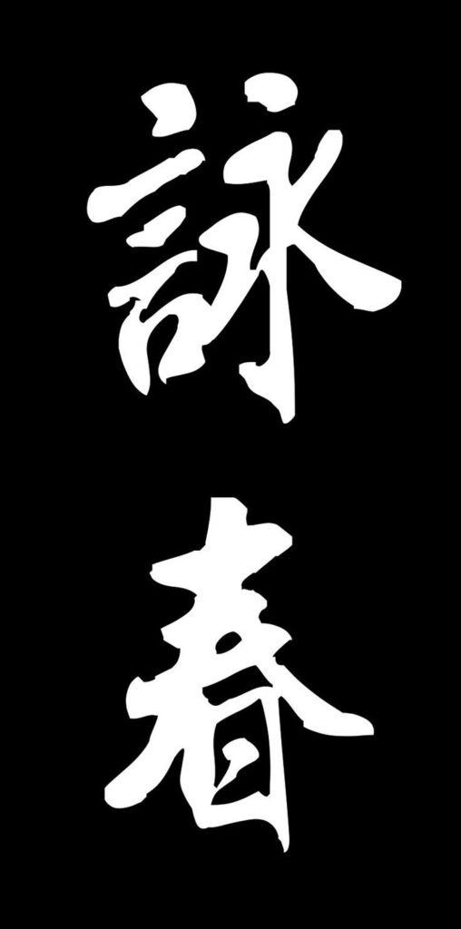 Main Home - Wing Tsun KungFu